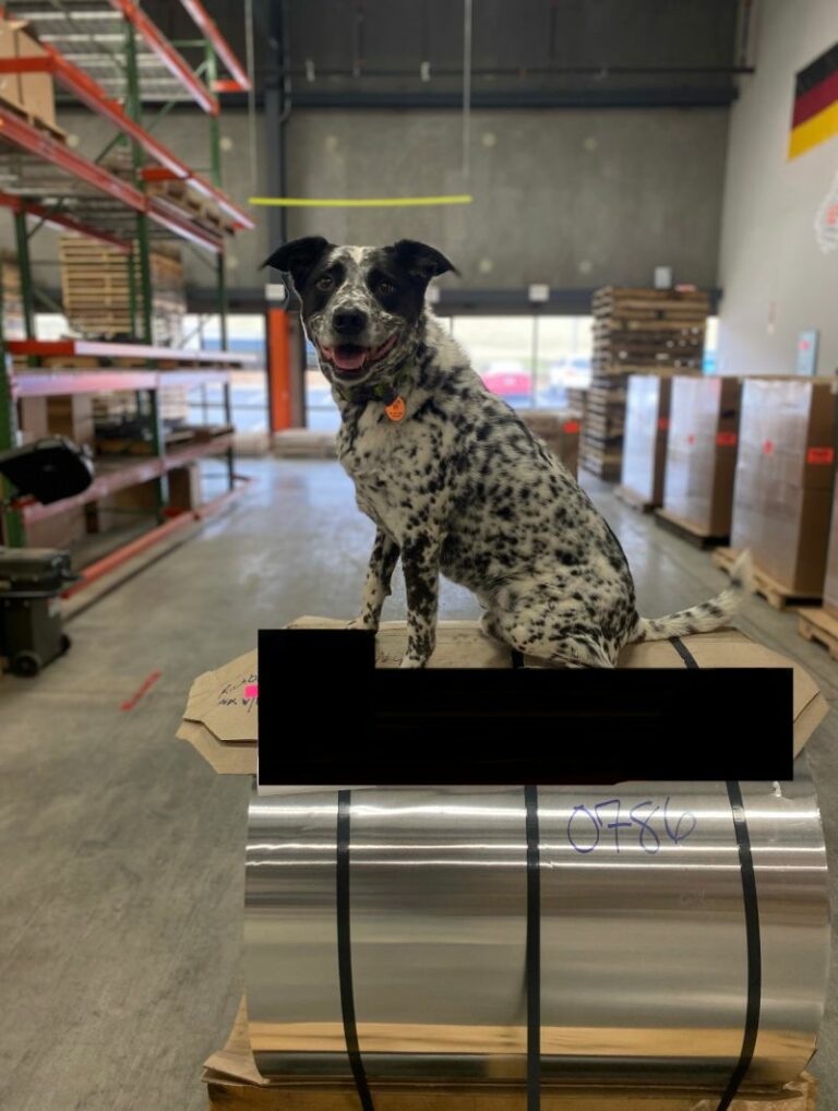 Meet Ash - pectec.com